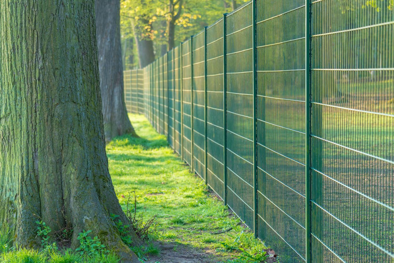 Outdoor Perimeter Alarm System | Perimeter Security Systems